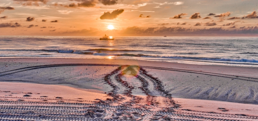 Xanadu By The Sea Beach-Side Homes For Sale | Jupiter Real Estate