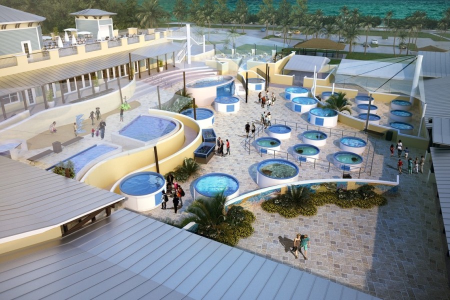 Loggerhead Marine Life Center: A Pillar of the Jupiter Community